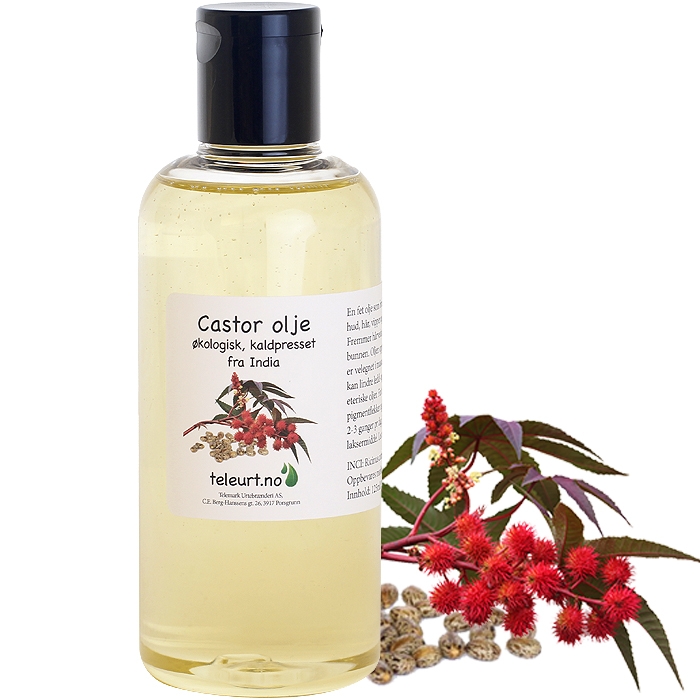 250ml Castor olje (Ricinus communis) India | Telemark Urtebrænderi ...